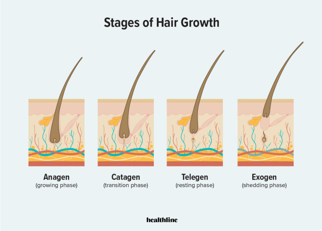 Female Hair Loss & Hair Thinning: The Differences
